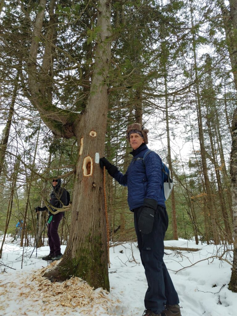 Perimeter Cape Chin Woods - Bruce Trail Conservancy - Hike Schedule