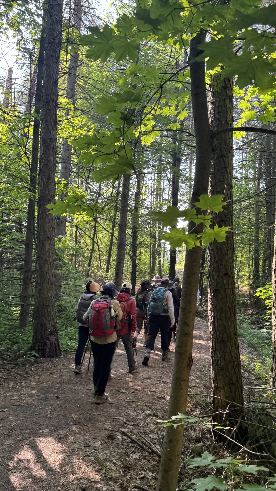 Car Hike: Jefferson Forest and Bond Lake - Bruce Trail Conservancy ...