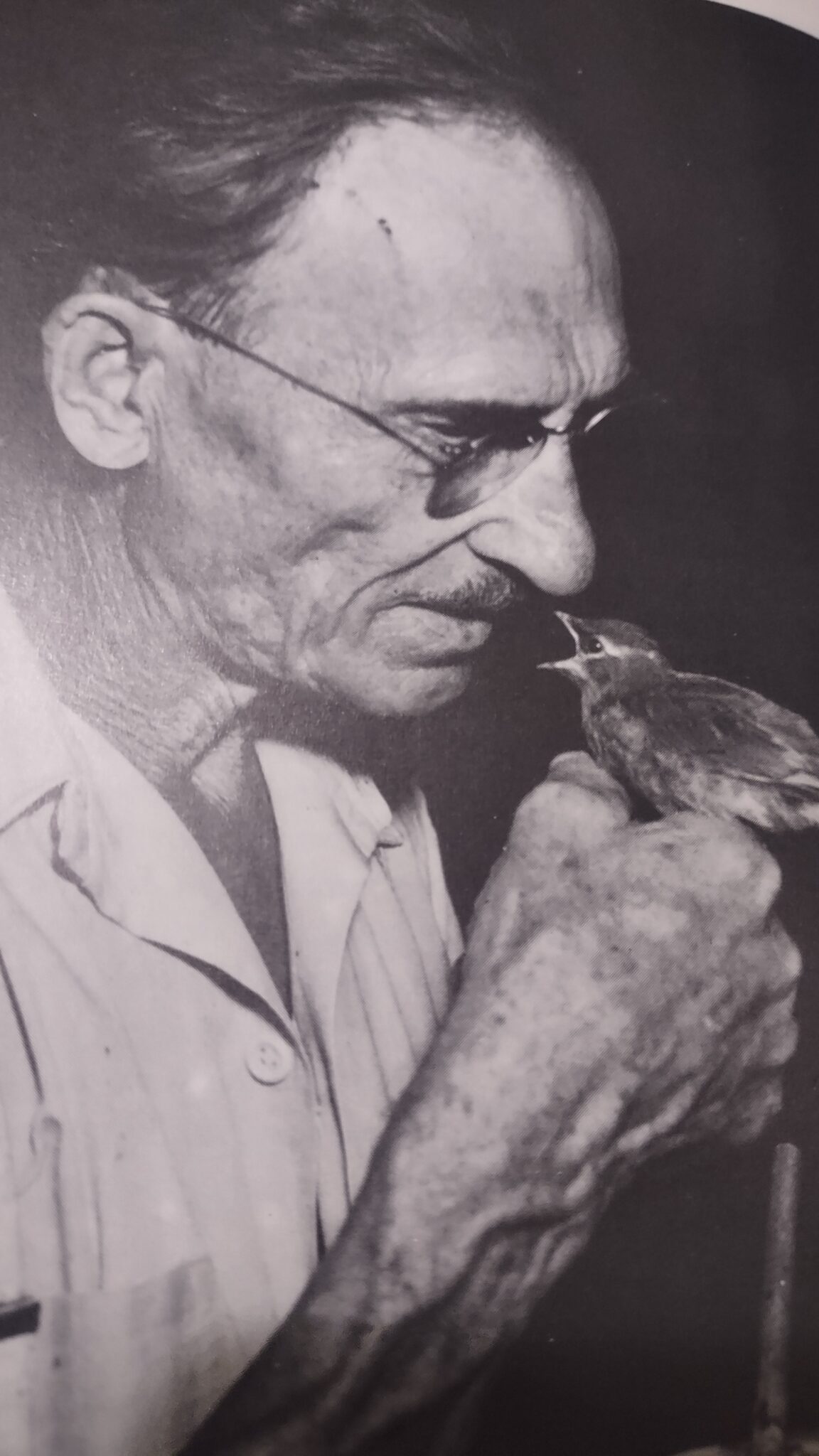 Remembering Roy Ivor, the Birdman of Erindale (1880-1979) - Bruce Trail ...