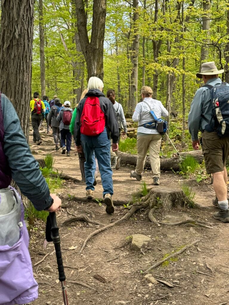 Western Dundas Valley - Bruce Trail Conservancy - Hike Schedule