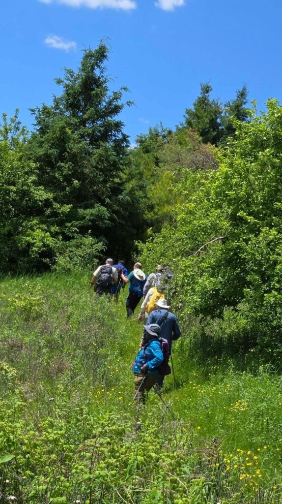 Car Hike: Uxbridge-Brock Track - Bruce Trail Conservancy - Hike Schedule