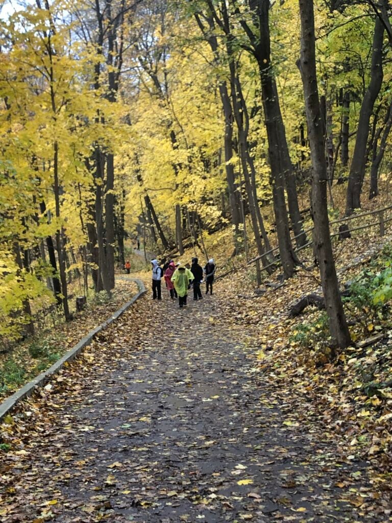 Bruce Trail Day: Urban Walk (Toronto Rosedale Ravines) - Bruce Trail ...