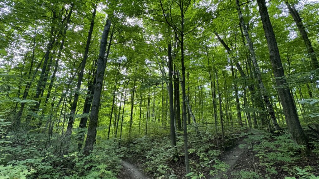 Car Hike: Jefferson Forest and Bond Lake - Bruce Trail Conservancy ...