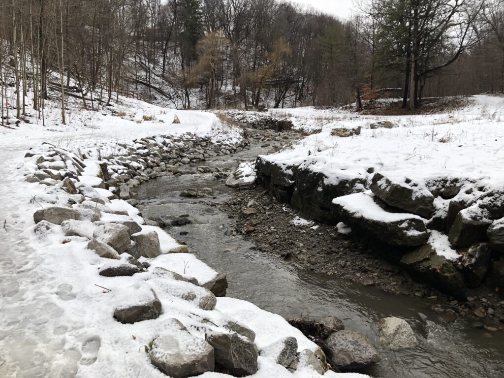Urban Walk: Rosedale Ravines - Bruce Trail Conservancy - Hike Schedule