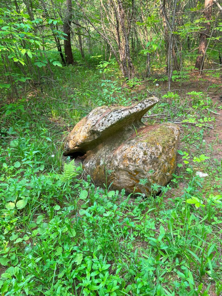 Silent Valley to Woodford – A Geology Hike with Beth Gilhespy - Bruce ...