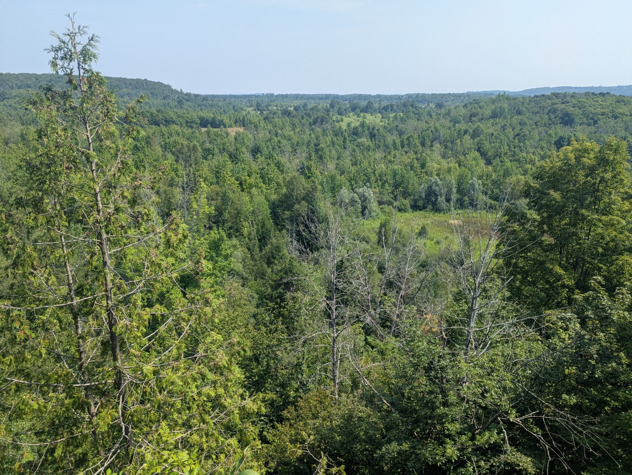 Brisk Fridays - Lindenwood/Ron Savage - Bruce Trail Conservancy - Hike ...